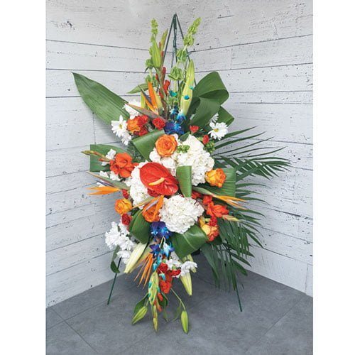 Arrangement of exotic flowers | Services funéraires Actuel